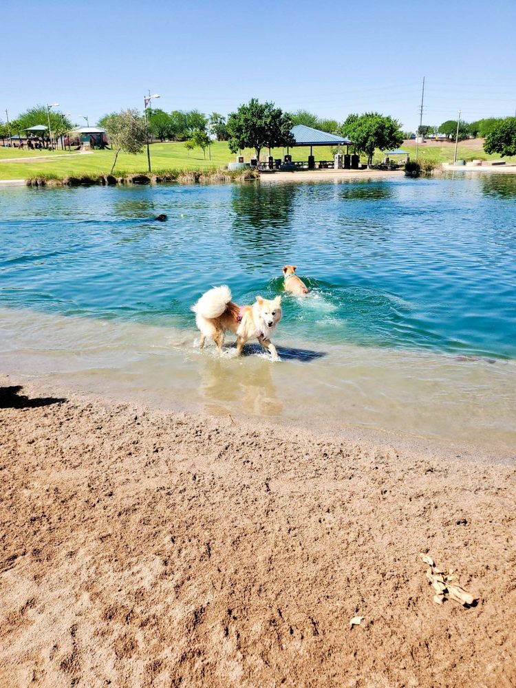 COSMO DOG PARK - Updated November 2025 - 115 Photos & 87 Reviews - 2502 ...