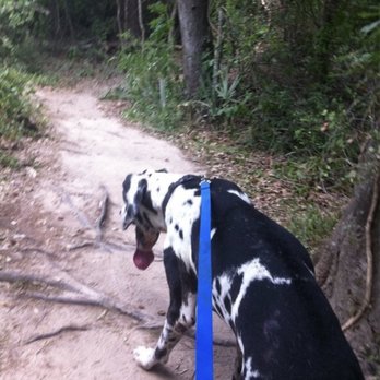 COLLINS PARK - Updated December 2025 - 46 Photos & 36 Reviews - 6727 ...