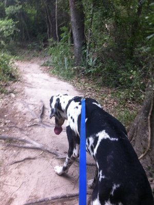 COLLINS PARK - Updated May 2026 - 46 Photos & 36 Reviews - 6727 ...
