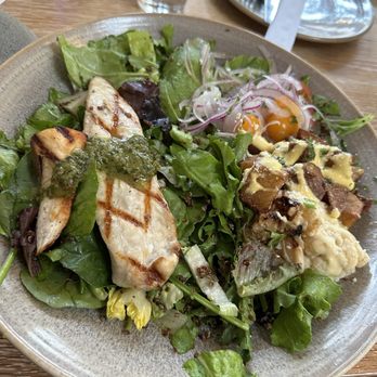 PACIFIC CATCH - Updated August 2024 - 2217 Photos & 2126 Reviews - 1200 ...