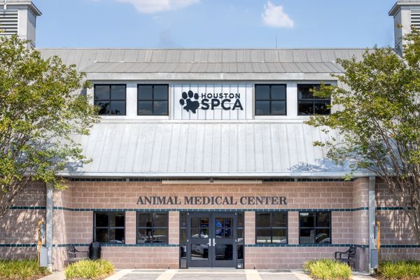 HOUSTON SPCA - Updated December 2025 - 138 Photos & 148 Reviews - 7007 ...
