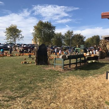 KINGSWAY PUMPKIN FARM - Updated January 2026 - 45 Photos & 19 Verified ...