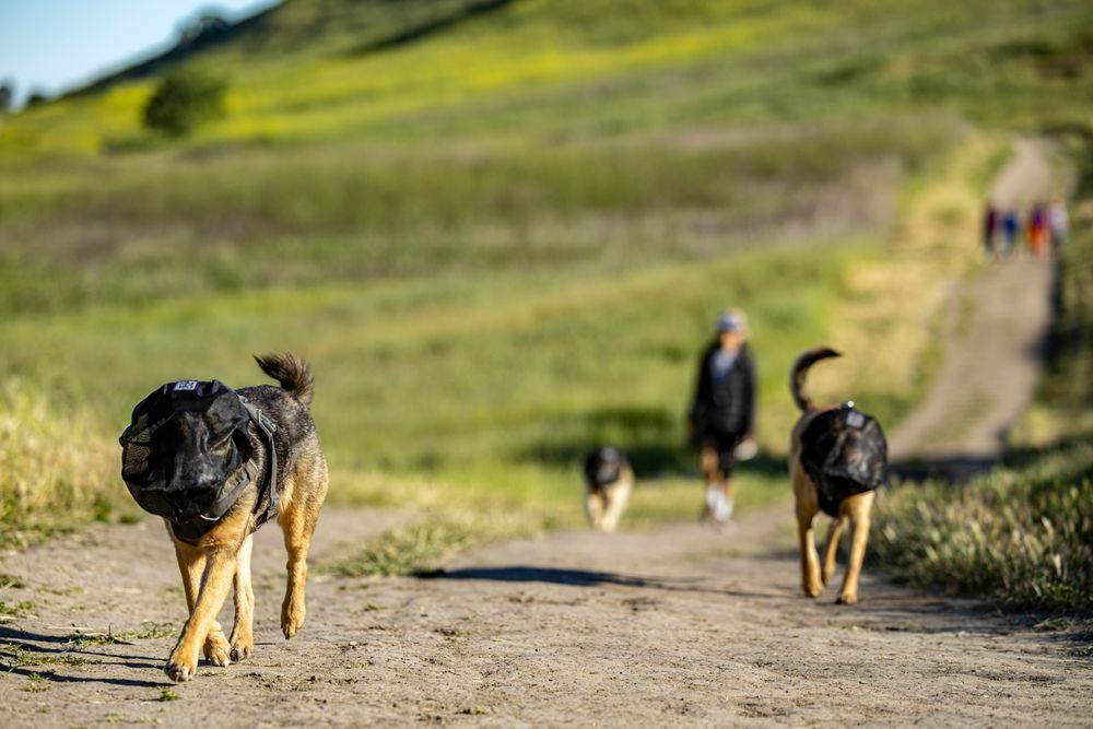 SHELL RIDGE OPEN SPACE - Updated October 2025 - 61 Reviews & 424 Photos ...