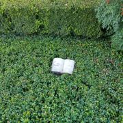 LANDA BRANCH LIBRARY PLAYGROUND - 25 Photos - 233 Bushnell Ave, San ...