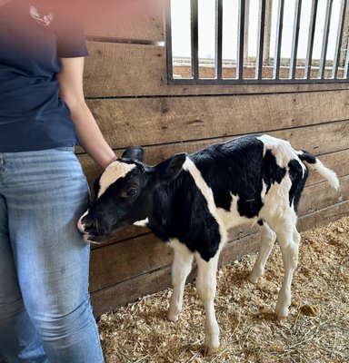 FRYING PAN FARM PARK - 251 Photos & 82 Reviews - 2709 W Ox Rd, Herndon ...