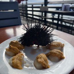 SANTA BARBARA SHELLFISH COMPANY - 5527 Photos & 2795 Reviews - 230 ...