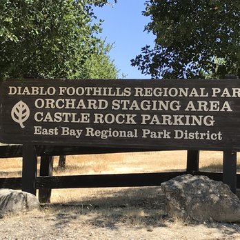 DIABLO FOOTHILLS REGIONAL PARK - Updated January 2026 - 244 Photos & 45 ...
