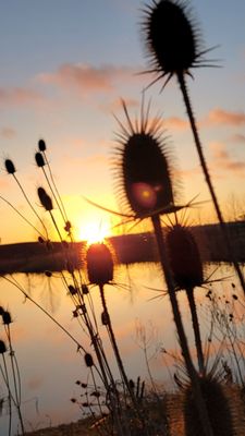 FERNALD PRESERVE - Updated May 2024 - 354 Photos - 7400 Willey Rd ...