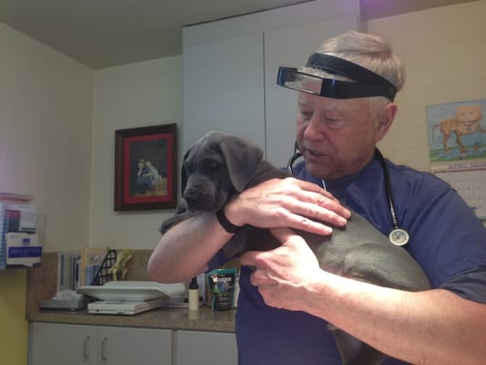 GIG HARBOR VETERINARY HOSPITAL - 18 Reviews - Veterinarians - 5606 ...
