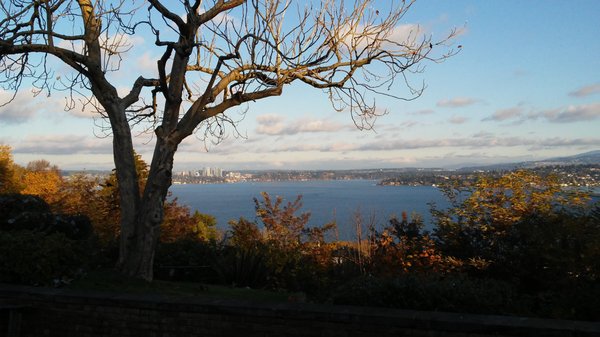 CENTRAL AREA SENIOR CENTER - Updated November 2025 - 10 Photos - 500 ...