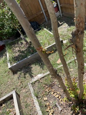 FANNIN TREE FARM - Updated June 2024 - 42 Photos & 50 Reviews - 15700 ...