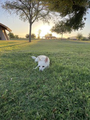 PECOS PARK - Updated August 2025 - 38 Photos & 10 Reviews - 17010 S ...