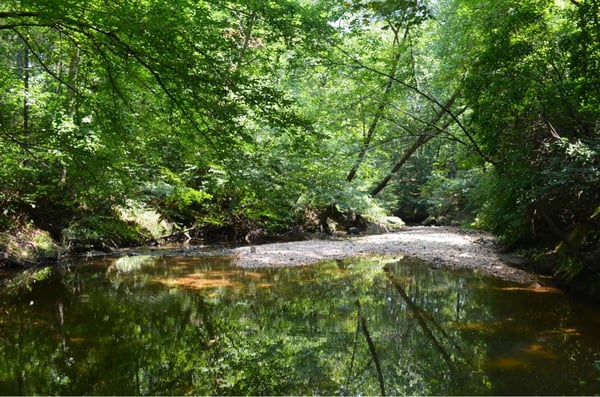 ALUM SPRING PARK - Updated April 2026 - 24 Photos & 24 Reviews - 99 ...