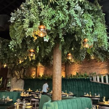 ZAMA SAN DIEGO - Updated October 2025 - 1557 Photos & 638 Reviews - 467 ...