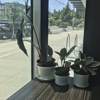 WICKED CAFE & BAKERY - Updated October 2025 - 113 Photos & 16 Reviews ...