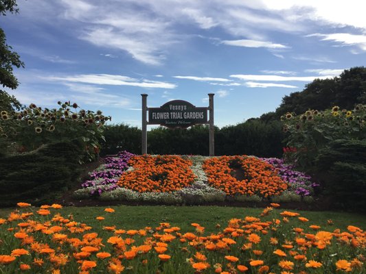 VESEYS SEEDS - 11 Photos - 411 Route 25, York, Prince Edward Island ...