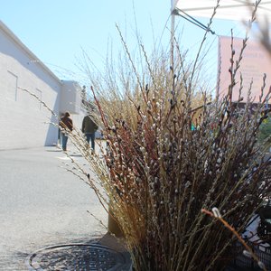 QUAKERTOWN FARMERS MARKET - Updated June 2025 - 90 Photos & 90 Reviews ...