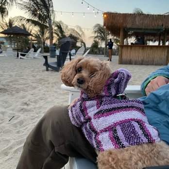 JENKS PAVILION - Updated January 2026 - 135 Photos & 145 Real Reviews ...