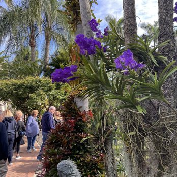 RF ORCHIDS - Updated November 2025 - 652 Photos & 76 Reviews - 28100 SW ...