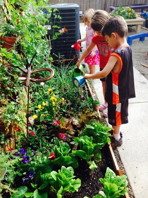 BUTTERFLY GARDEN PRESCHOOL & CHILDCARE - Updated September 2024 - 45 ...