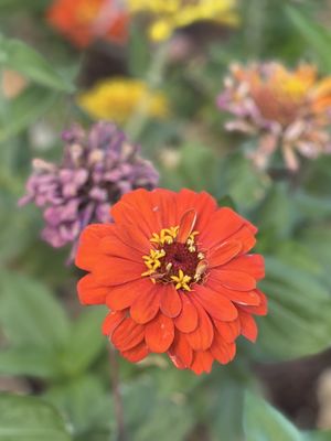 SACRAMENTO PUBLIC LIBRARY - NORTH NATOMAS - Updated August 2025 - 64 ...