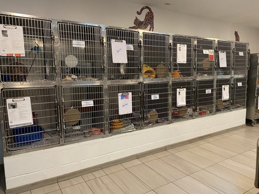 HALIFAX HUMANE SOCIETY - Updated December 2025 - 36 Photos & 47 Reviews ...