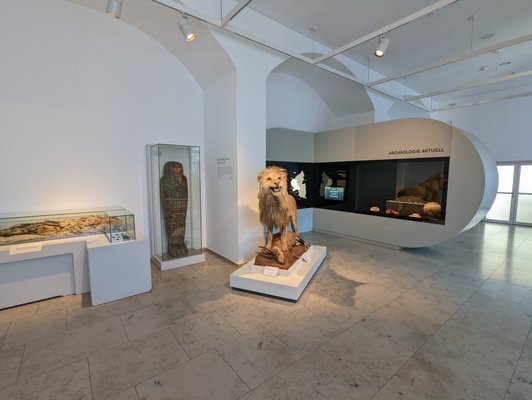 RHEINISCHES LANDESMUSEUM - 25 Photos - Weimarer Allee 1, Trier ...