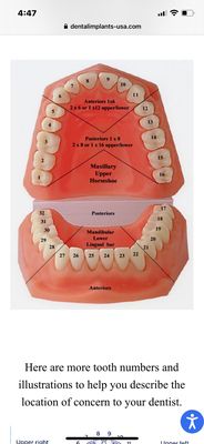WINSTON F YEE,DDS - Updated September 2025 - 35 Reviews - San Lorenzo ...