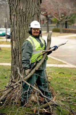 THE DAVEY TREE EXPERT COMPANY - Updated October 2025 - 29 Photos & 78 ...