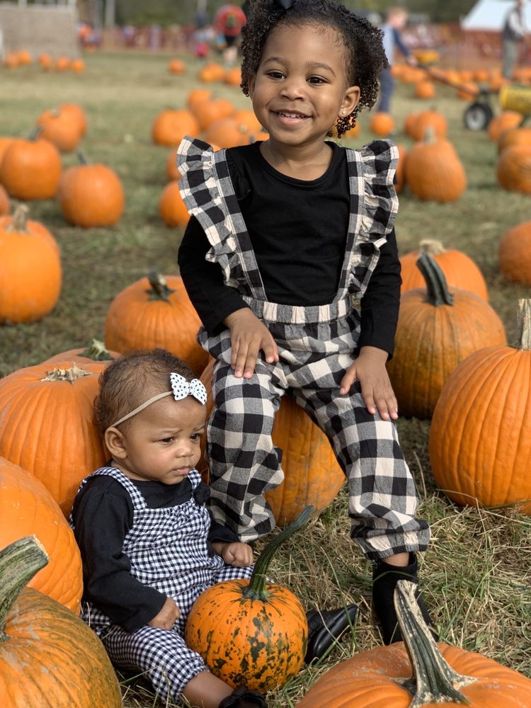 NIEDERMAN FAMILY FARM - 87 Photos & 23 Reviews - 5110 Lesourdsville ...