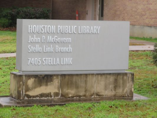 MCGOVERN STELLA LINK NEIGHBORHOOD LIBRARY - Updated December 2024 - 39 ...