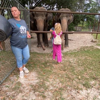 TWO TAILS RANCH - Updated December 2025 - 125 Photos & 94 Reviews ...