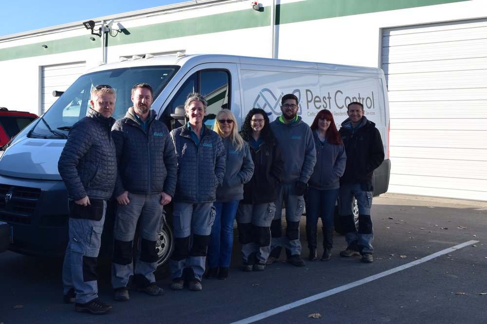 CELTIC PEST CONTROL - Updated September 2025 - 47 Photos & 41 Reviews ...