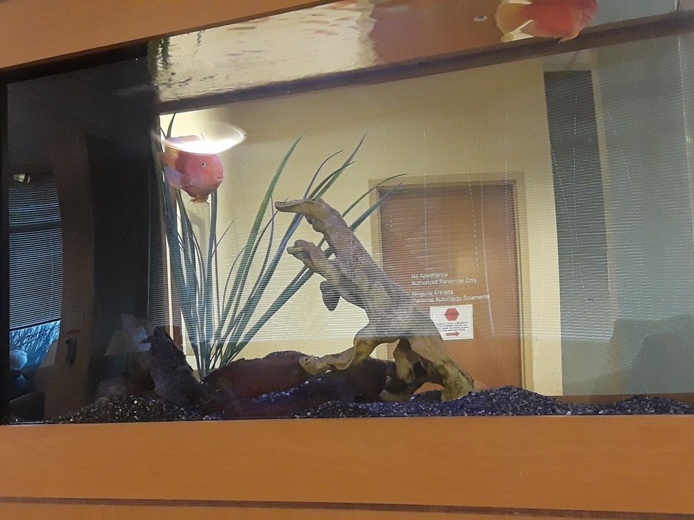 SUTTER FAIRFIELD SURGERY CENTER - 15 Reviews - Hospitals - 2700 Low Ct ...