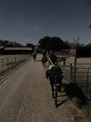 GIBSON RANCH REGIONAL PARK - 178 Photos & 100 Reviews - 8556 Gibson ...
