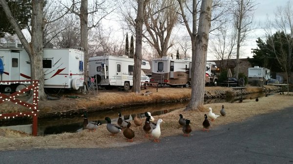 J DIAMOND MOBILE RANCH - 10 Photos & 24 Reviews - 771 N Main St, Bishop ...