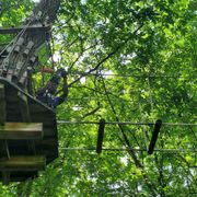 GO APE ZIPLINE & ADVENTURE PARK - 61 Photos & 56 Reviews - Challenge ...