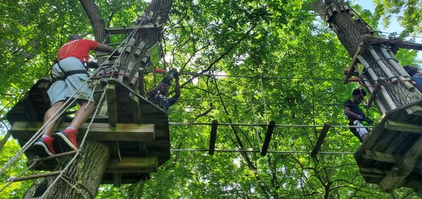 GO APE ZIPLINE & ADVENTURE PARK - Updated December 2025 - 71 Photos ...