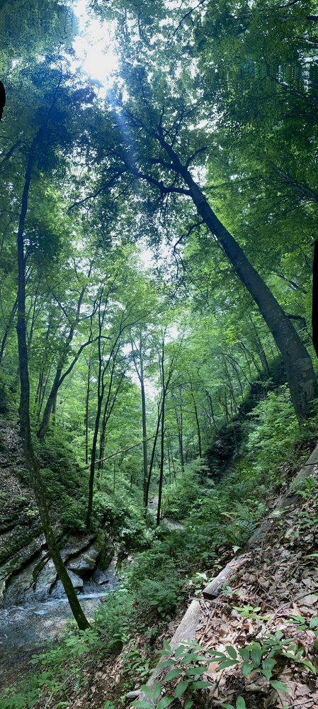 WINDING STAIRS PARK - Updated September 2025 - 10 Photos - 655 Nature ...
