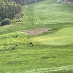 TRAILHEAD GOLF COURSE - Updated September 2025 - 22302 E Country Vista ...