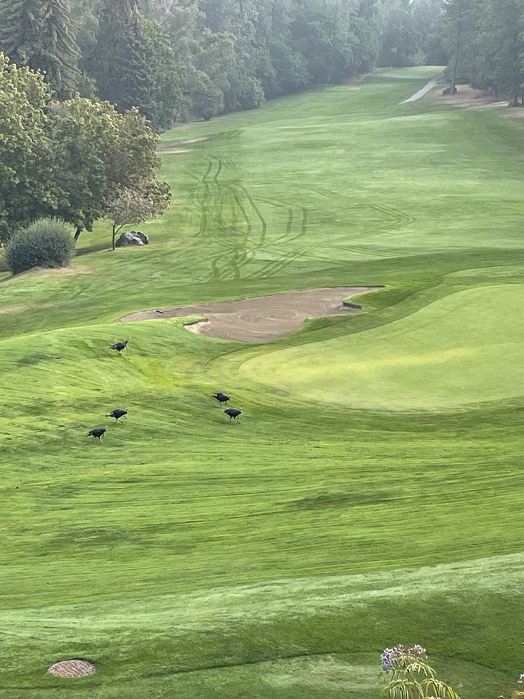 INDIAN CANYON GOLF COURSE - Updated September 2025 - 14 Photos & 27 ...