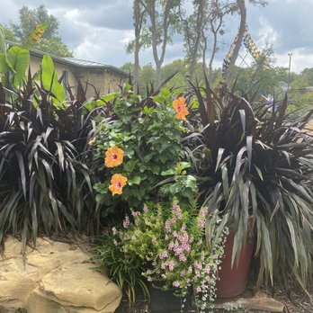 GRAPEVINE BOTANICAL GARDENS - Updated December 2025 - 295 Photos & 66 ...