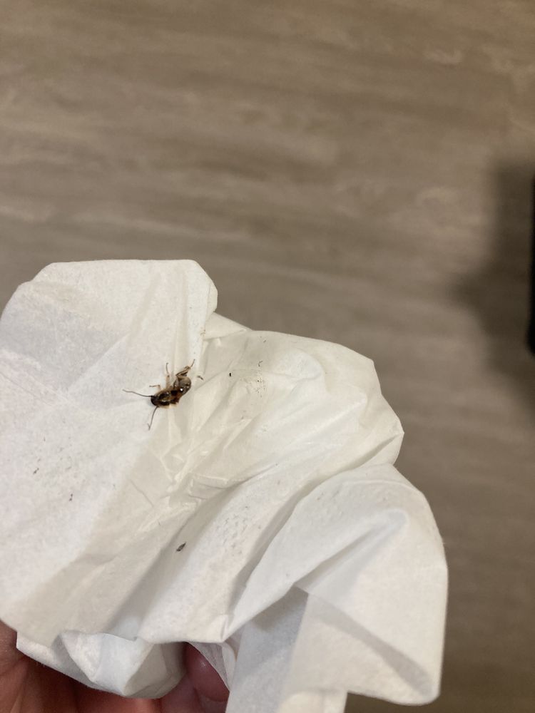 APERTO PROPERTY MANAGEMENT - Updated December 2025 - 48 Photos & 30 ...