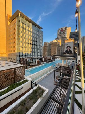 CATBIRD - Updated January 2025 - 651 Photos & 354 Reviews - 1401 Elm St ...