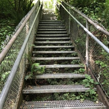 Lake Fenwick Park - 71 Photos & 20 Reviews - Parks - 25828 Lake Fenwick ...