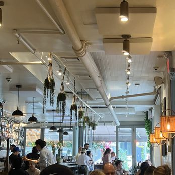 SHOO SHOO NOLITA - Updated June 2025 - 595 Photos & 339 Reviews - 371 ...