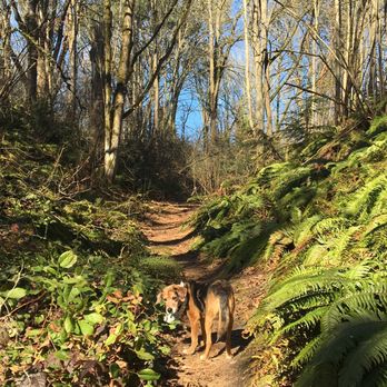 FRINK PARK - Updated July 2025 - 21 Photos - 398 Lake Washington Blvd S ...
