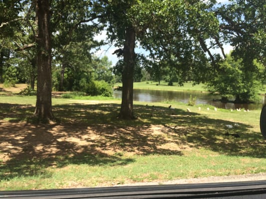 LAKEVIEW METHODIST CONFERENCE CENTER - Updated October 2025 - 12 Photos ...