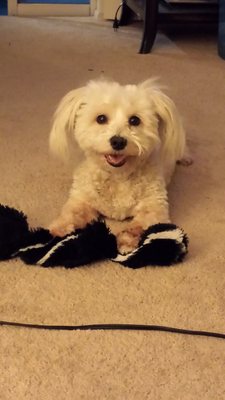 SUNCOAST HUMANE SOCIETY - Updated May 2024 - 15 Reviews - 6781 San Casa ...