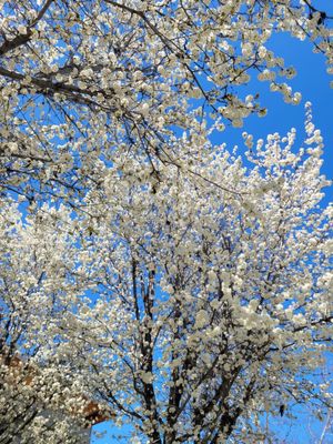 MURRIETA PUBLIC LIBRARY - Updated December 2025 - 200 Photos & 46 ...